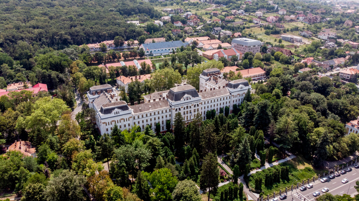 Universitatea “George Emil Palade” din Târgu Mureș își va alege ...